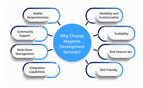 best magento development services top ecommerce experts in july 2024