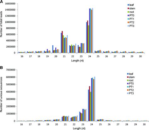 Length Distribution Of Small Rna Sequences Identified In All The Small Download Scientific