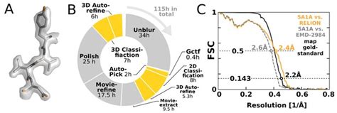 Accelerated Cryo Em Structure Determination With Parallelisation Using Gpus In Relion 2 Elife