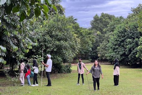 Foto 3 Tips Ke Kebun Raya Cibinong Datang Pagi Hari