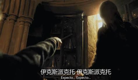 哈利波特《麻瓜魔法指南》之守护神咒 知乎