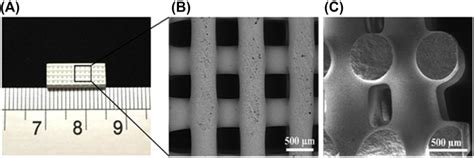 2 representation of the ha β tcp robocast platforms after the sintering