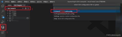 vscode远程连接服务器 x11插件图形化界面 x11 remote access full vscode csdn博客