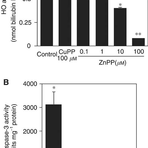 Protective Effect Of Bilirubin Against Znpp Ix Induced Apoptosis Of