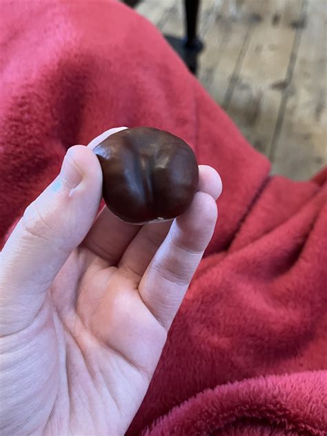 This Conker R Mildlyvagina