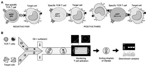 Cell Analysis Droplet Based Analytical Techniques
