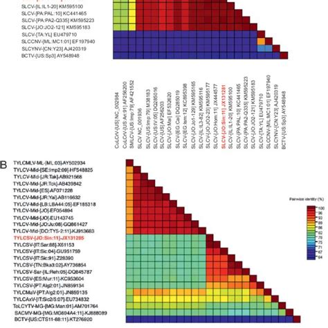 Colour Online Colour Coded Pairwise Identity Matrix Generated From 23