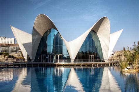 Loceanogràfic Valencia Spain Shell Structure Building Architecture