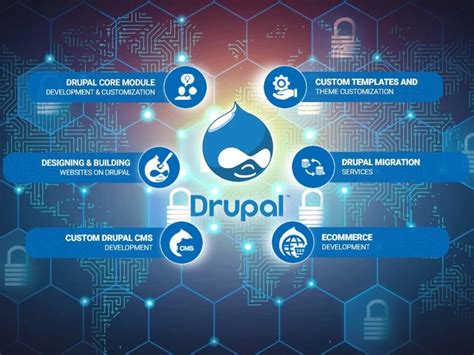 A Drupal Wordpress Responsive Theme Upwork