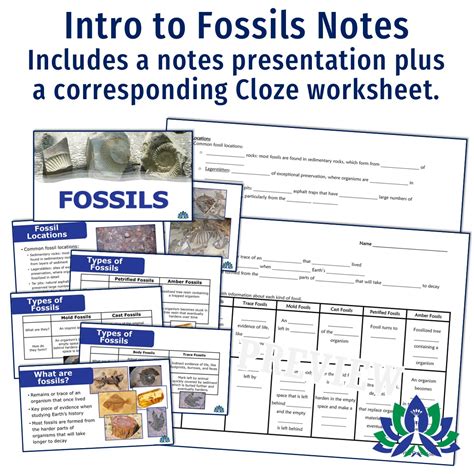 Fossils And Geologic Time Notes Flying Colors Science