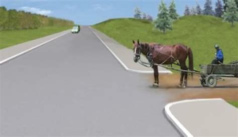 Білети з відповідями з розділу 7 Вимоги до осіб які керують гужовим транспортом і погоничів