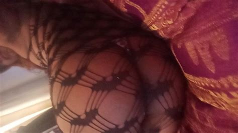 To Choose From West Auckland Waitakere