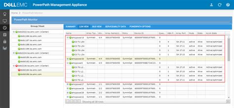 Fc Nvme On Powermax Detail Dell Powermax With Vmware