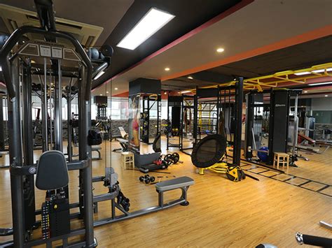Hướng Dẫn Setup Phòng Gym 300m2 Từ A Z Pt Fitness