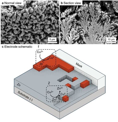 Secondary Electron Micrographs Of Zn Coatings After Processing 10 Ma Download Scientific