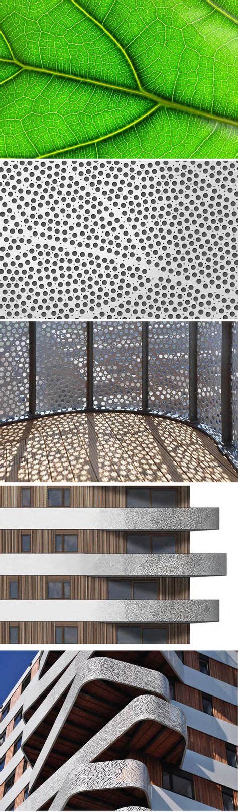 Nature Discover Patterns In Architecture Nature Ideas Patterns In Nature Microscopic