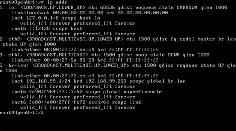 Networking Running Openwrt In Virtualbox With 2 Network Adapters A Host Only Adapter And