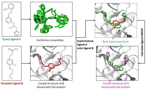 Dissimilar Ligands Bind In A Similar Fashion A Guide To Ligand Binding