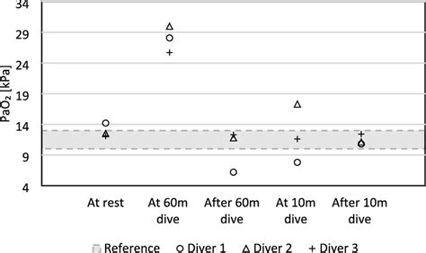 Partial Pressure Of Oxygen PaO2 In Arterial Blood PaO2 Was Higher At Download Scientific