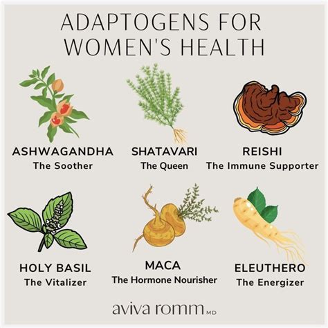 Adaptogens For Womens Health En 2024 Santé