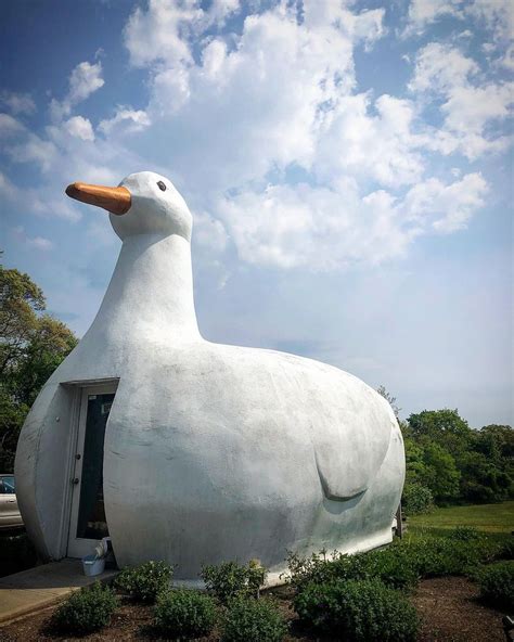 Big Duck Flanders Ny 2019 Olivia Collado Flickr