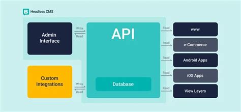 Headless Cms Web Develop Webdevelop