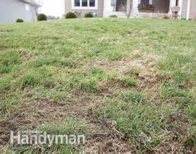 Lawn Care How To Repair A Lawn Diy Lawn Lawn Repair Lawn Care