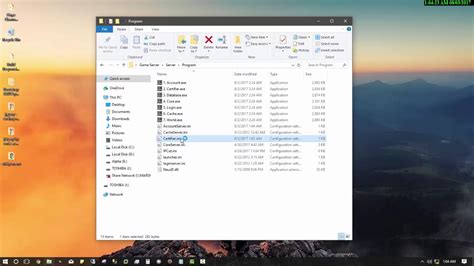 Flyff Private Server V Apoice