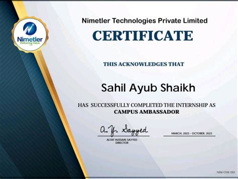 Internship Nimetlertech Professionalgrowth Sahil Shaikh