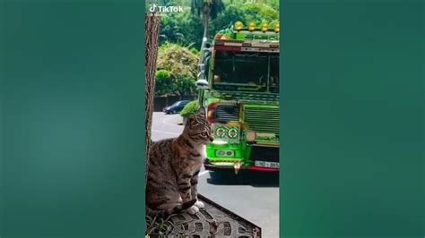 බලු වැඩ කරන්න එපා යකෝ 😂 Youtube