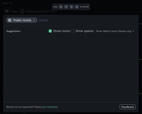 Explore Eventually Shows Empty Room List For Non Existent Server · Issue 24481 · Element Hq