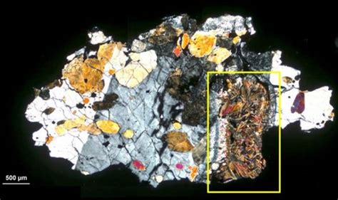 Life On Mars Fossil Microbe Evidence Found On Ancient Mars Meteor
