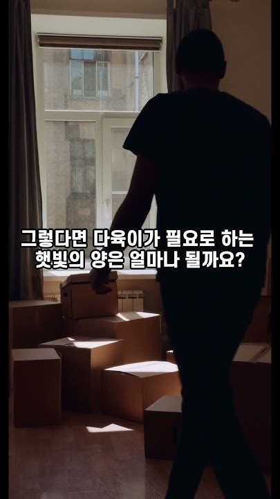 다육식물에게 햇빛이 중요한 이유 다육이 다육이키우기 다육식물 다육 Shorts Youtube