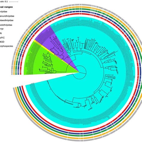 Bayesian Inference Gene Tree With Delineated Motus With Posterior
