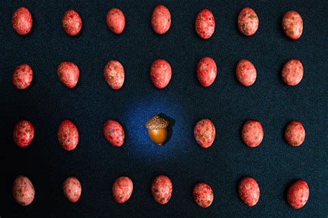 파란색 반짝이 골판지 배경에 빨간색 사탕 행 중 하나의 도토리 상단 보기 0명에 대한 스톡 사진 및 기타 이미지 0명 개념 개체 그룹 Istock