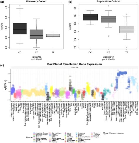 The Box Plot Showing Relationships Between Snp Genotype Of Rs2065712 Download Scientific