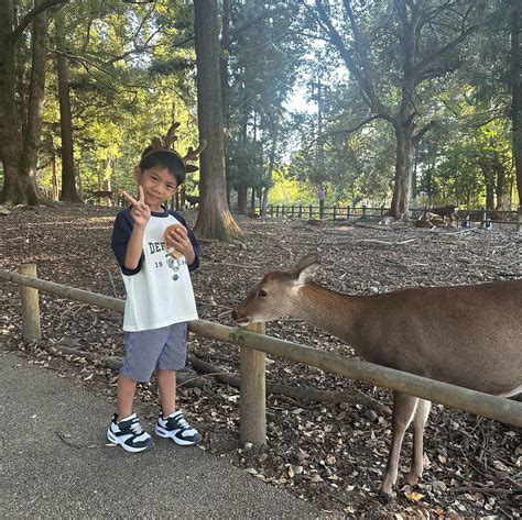 Pann Ei Phyu အကောင့်မှာ အမေးများတဲ့ ရွှေဘုန်းကို မြန်မာလိုမမေ့အောင် ဘယ်လိုလုပ်ပေးခဲ့လဲ တဲ့ ဟိုသ