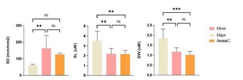 Comparison Of Stomatal Density Length And Width In Major Minor And