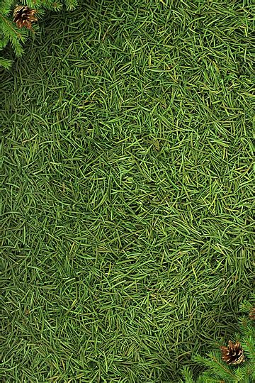 A Framework Background Images Hd Pictures And Wallpaper For Free Download Pngtree