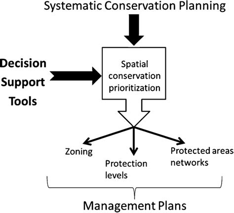 1 Schematic Showing The Use Of Dsts For Systematic Conservation Planning Download Scientific