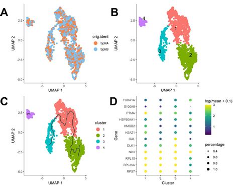 Cluster Analysis A UMAP D Projection Of Single Cells No Detectable Download Scientific