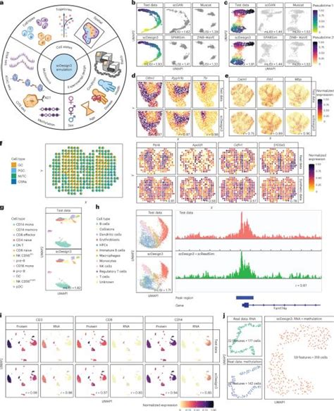 Vivek Das Phd Msc On Linkedin Scdesign3 Generates Realistic In Silico Data For Multimodal