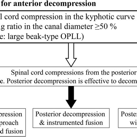Castellvi Radiologic Classification Of Lumbosacral Transitional