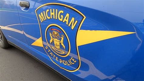 Msp Driver Crashed Into Buggy Fled The Scene In Montcalm Co