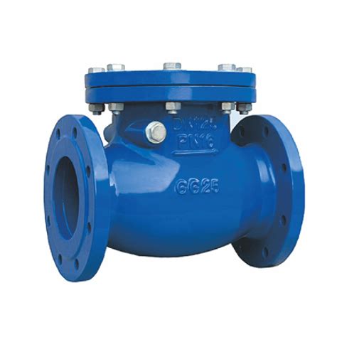 5 Different Types of Check Valves 站点标题