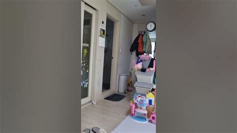 피카츄 비행기와 라이츄 비행기에 멀리 날아가기 한판 승부 과연 대결에 승자는 Youtube