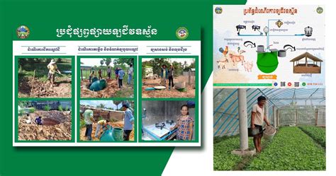 បទយកការណ៍៖ អ្នកជំនាញ ណែនាំឱ្យកសិករដែលមានសត្វចិញ្ចឹម គួរបង្កើត ទ្បជីវឧស្ម័ន ដើម្បីសុខភាព