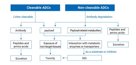 How To Easily Understand Adc Payload Urban Splatter