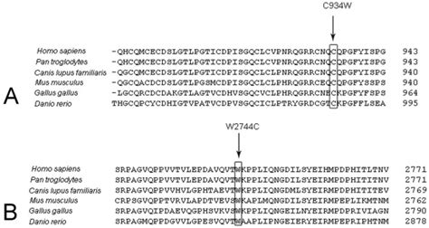 The Sequence Alignment Portion Of A Laminin Epidermal Growth Factor Download Scientific