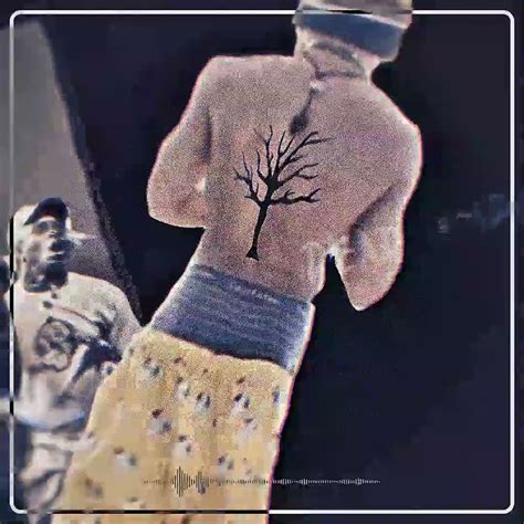 R I P Xxxtentacion Sex Drugs Ect [edit] Editing Edit Amvindonesia Aftereffects Llj